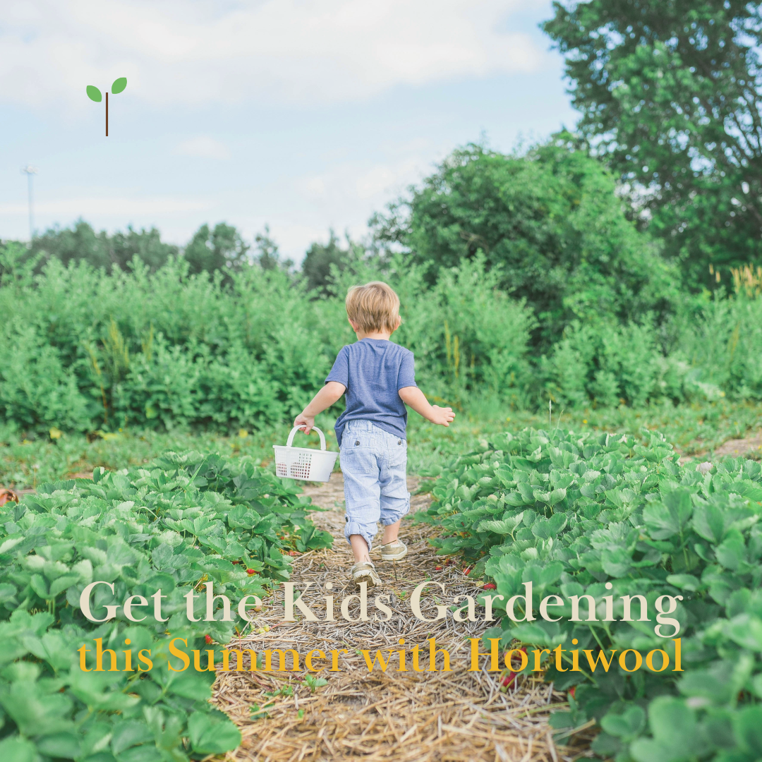 6 Summer Holiday Activities: Get the Kids Gardening This Summer ...