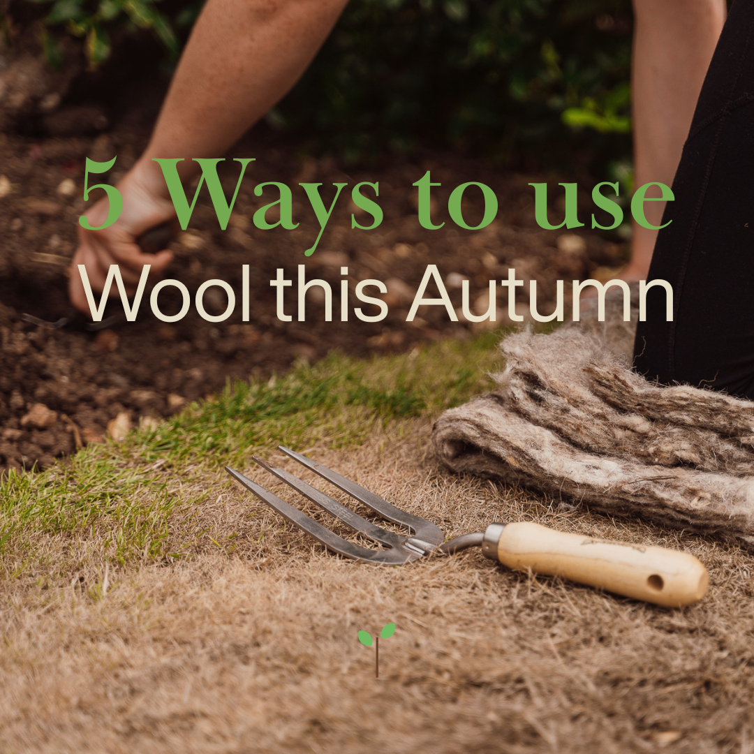 5 Ways to use Wool this Autumn with Hortiwool